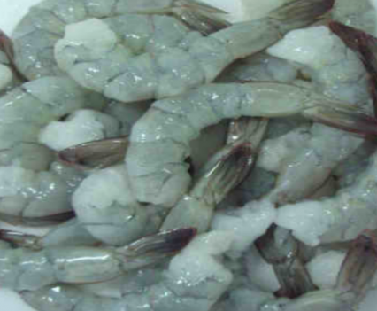 Seafood - Sincere Food